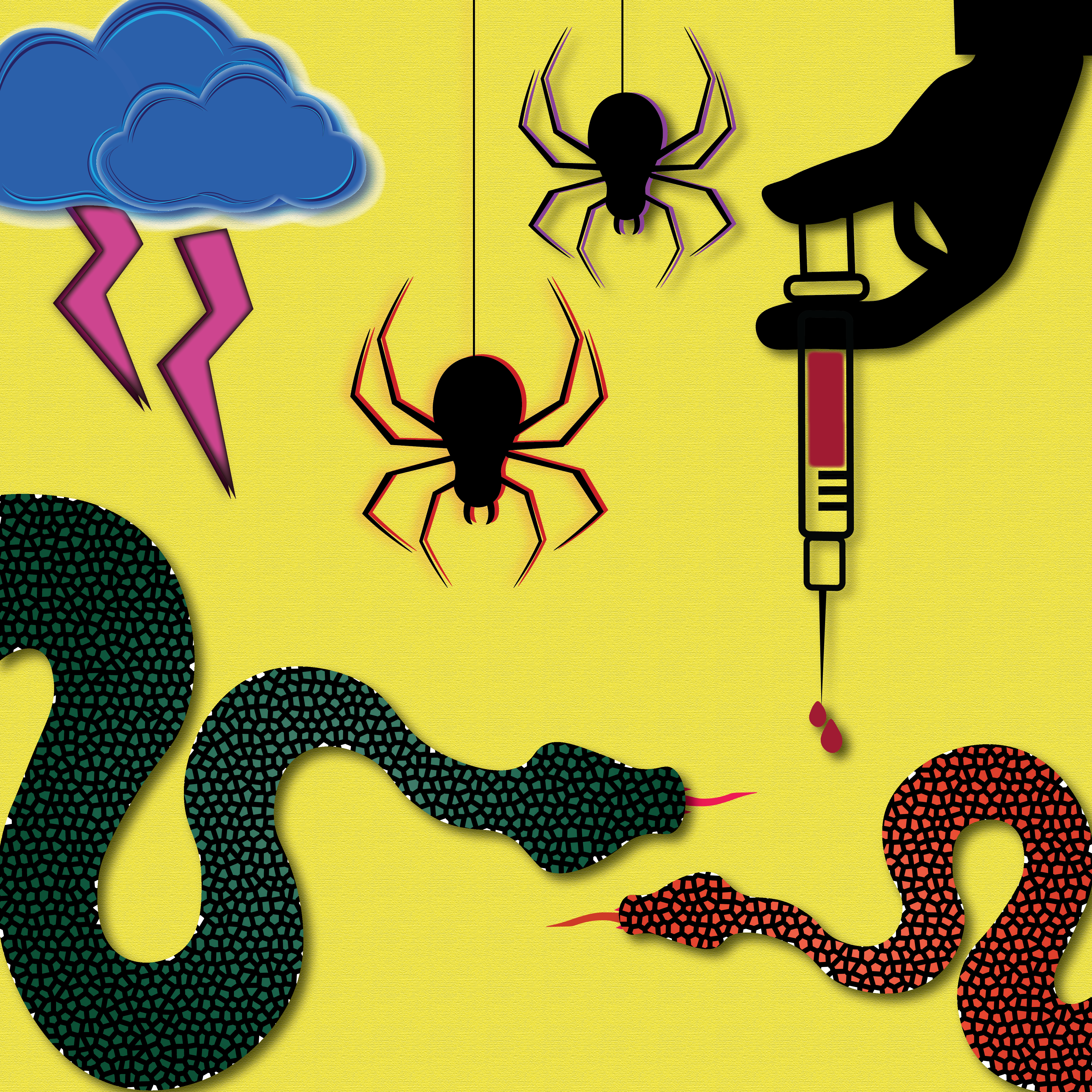 Snake Phobia Symptoms