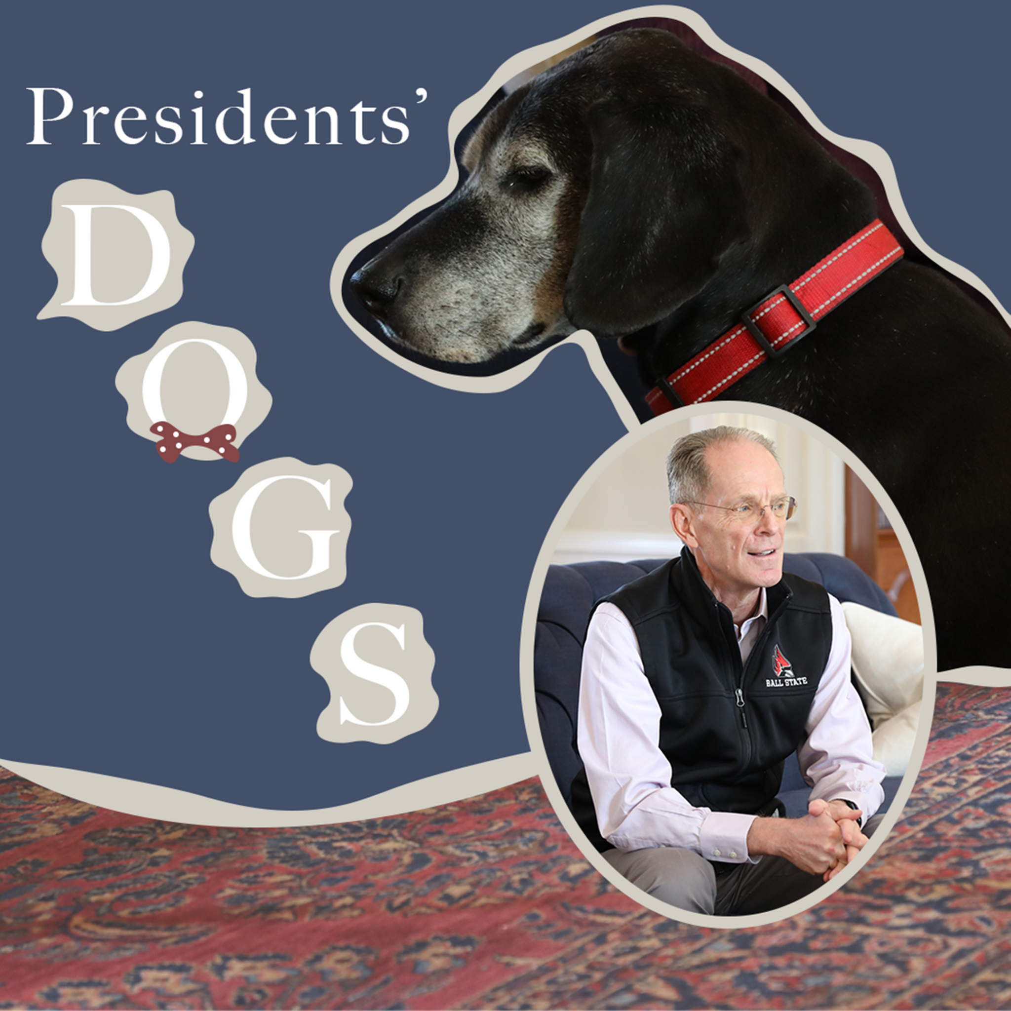 Gator Balls – Ball Bearings Magazine